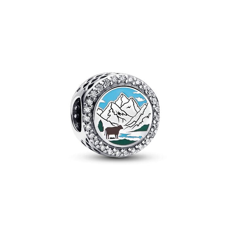 Country Exclusive Pandora Charms: Rare Global Collection Online – The ...